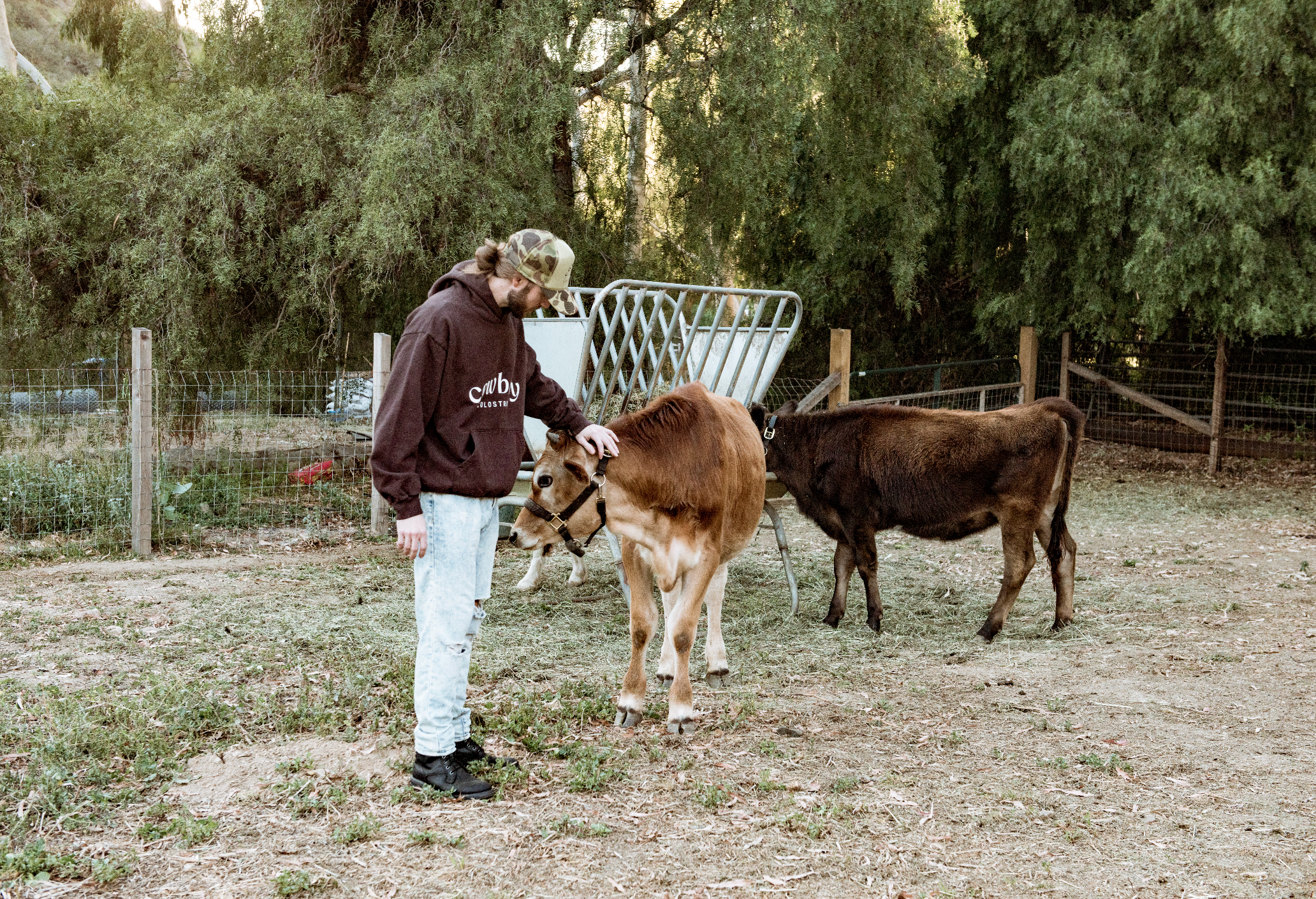 How Colostrum Supports Mental Health Through Gut Health – Cowboy Colostrum