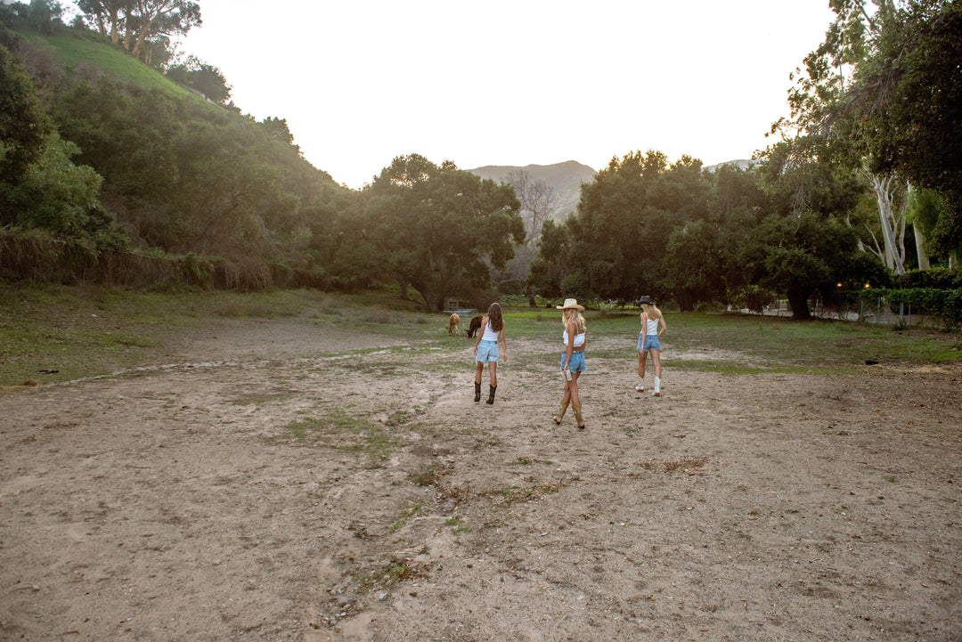 Nourishing the Mind: Exploring the Potential of Colostrum for Brain He ...